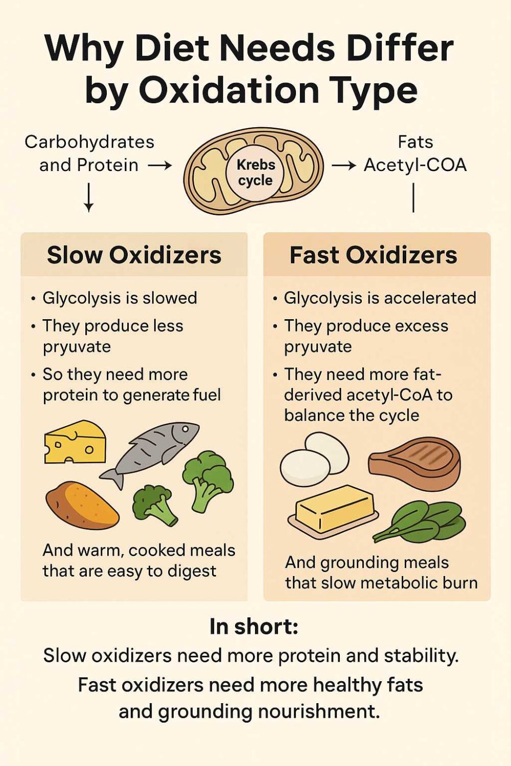 HTMA Oxidation Rates Explained: Fast, Slow, Mixed, and the Four Lows ...