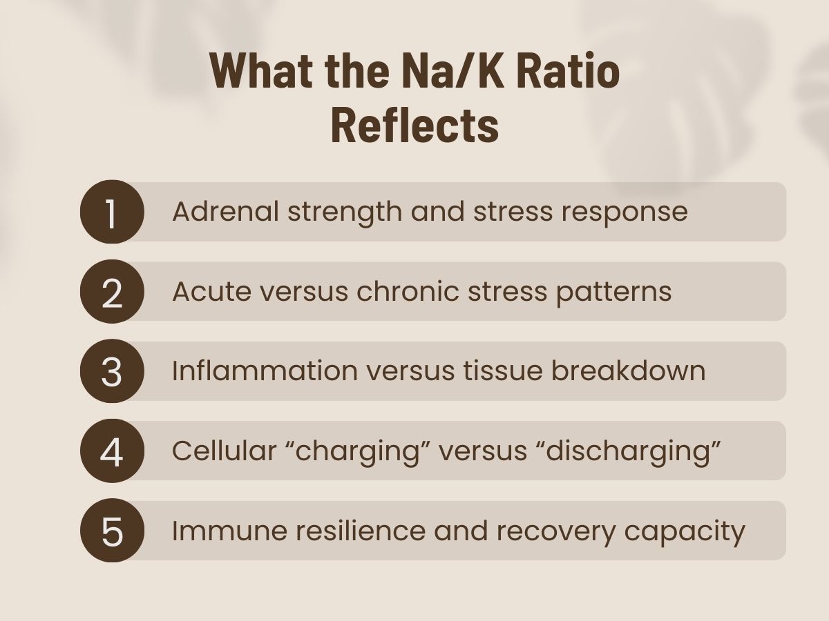Sodium-to-Potassium Ratio (Na/K) on HTMA | Stress, Energy & Recovery ...